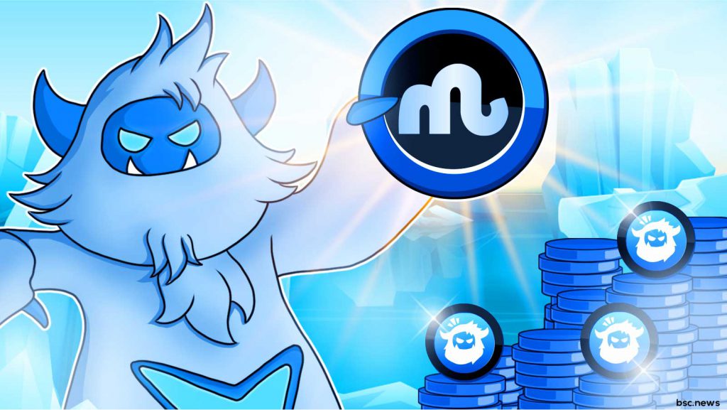 BSCN Terms and Conditions - Binance Chain News